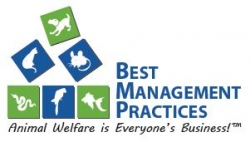 Do your share for animal welfare! Earn your BMP Certificate – Pets Canada