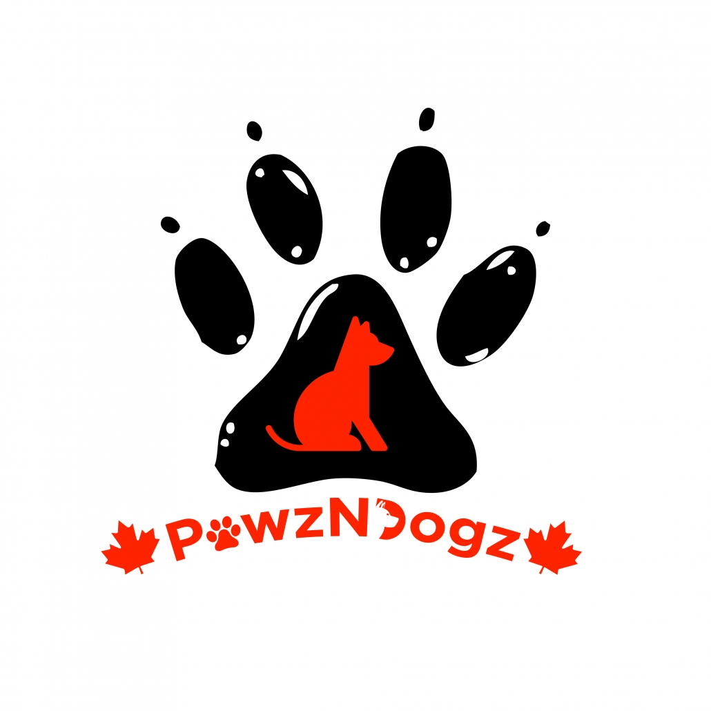 PawzNDogz, Makers of Premium Snuffle Mats Enters Distribution – Pets Canada